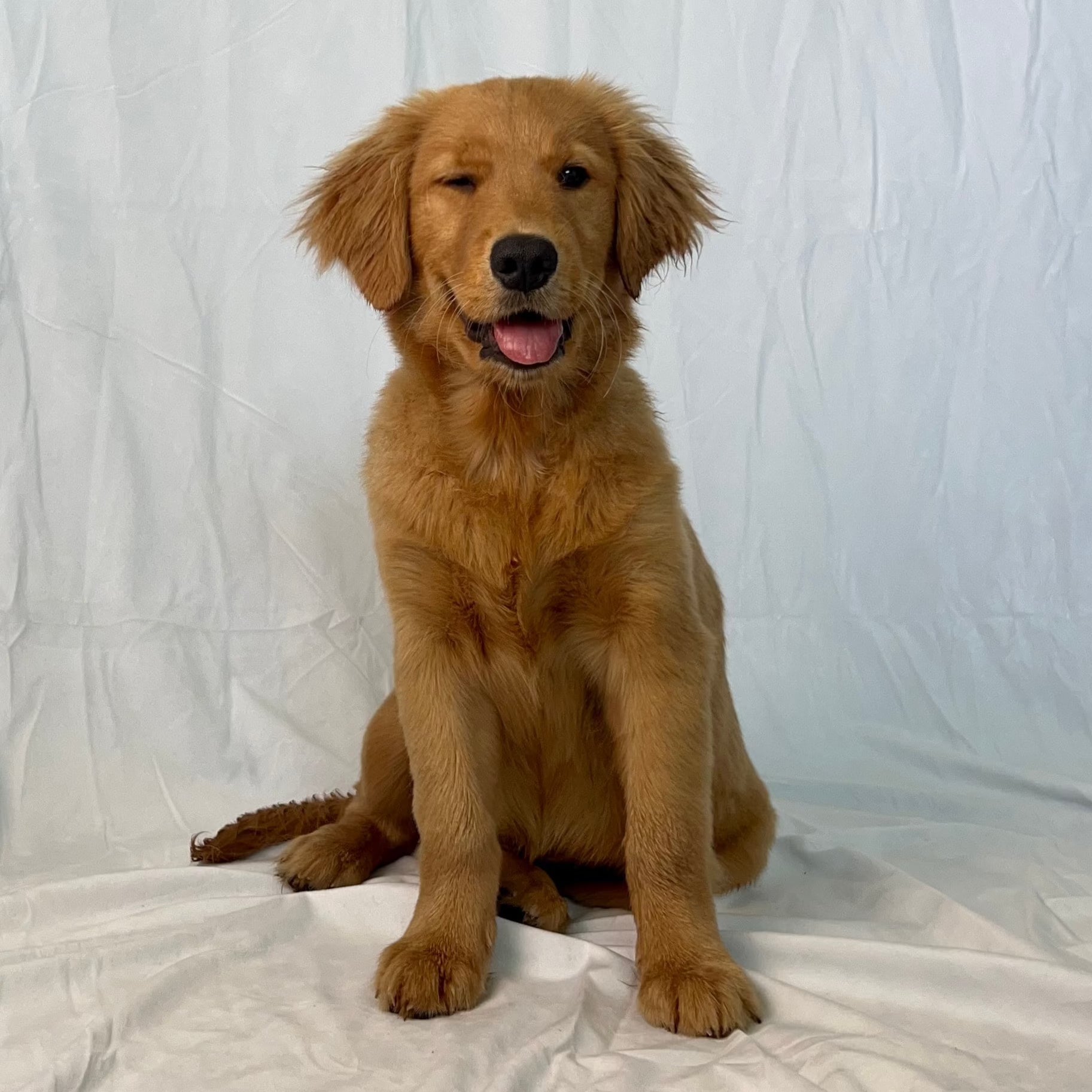 Feta Running Hat - Limited Release – Southernmost Running Company